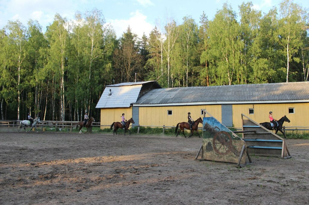 At ve binicilik kulüpleri Solovinaya Roscha, Mytişçi, foto