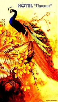 Otel Otel Pavlin, Saint‑Petersburg ve Leningradskaya oblastı, foto