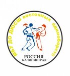 Detsko-yunosheskaya sportivnaya shkola Vostochnykh Yedinoborstv (Zemelnaya Street No:6), spor okulları  Kaliningrad'dan
