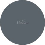 Silitsium (Obukhovskoy Oborony Avenue No:76Р), elektronik cihaz ve parça firmaları  Saint‑Petersburg'dan
