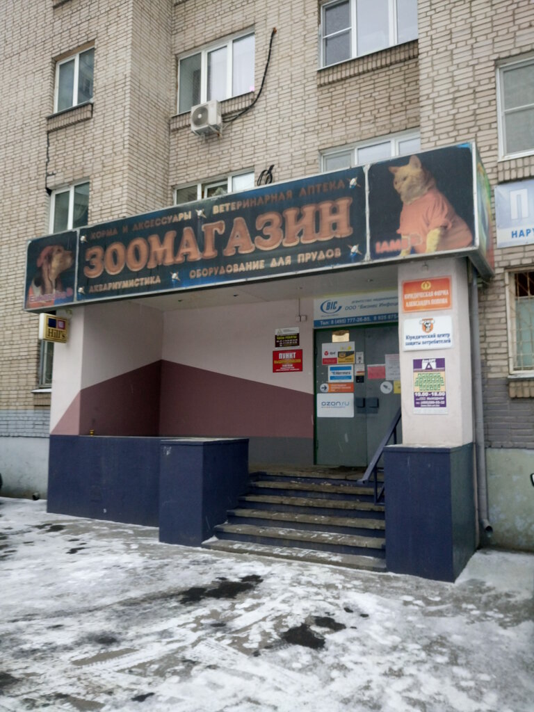 Kurye hizmetleri Iml, Himki, foto