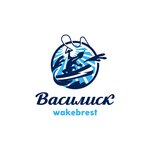Vasilisk wakebrest (Brest, Maskowski District), spor kulüpleri  Brest'ten