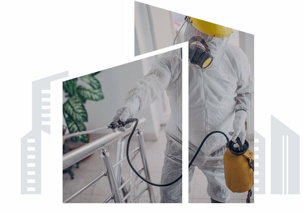 i̇mar iskan müdürlüğü Suburban Pest Control Services, Dubai, foto
