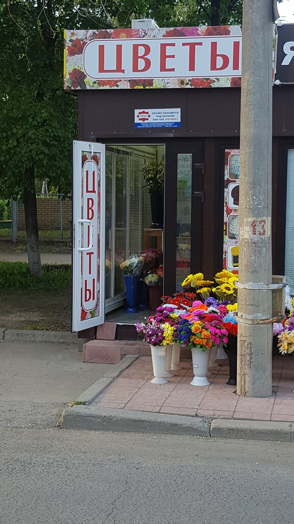 Çiçekçiler Цветы, Tolyatti (Togliatti), foto