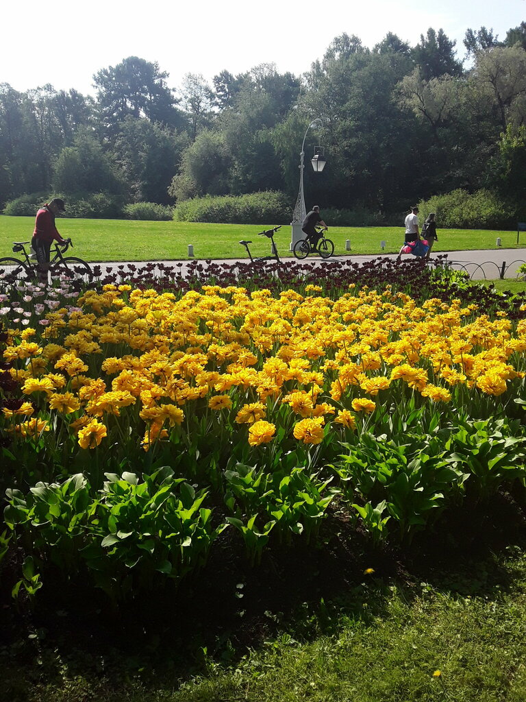 Turistik yerler Оранжерейный корпус, Saint‑Petersburg, foto