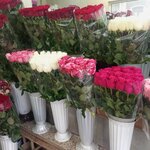 Flowers (praspiekt Pieramogi No:29), çiçekçiler  Gomel'den