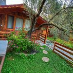 Zeytindağı Bungalow Butik Otel (Balıkesir, Edremit, Zeytinli Mah., Sarıkız Cad., 7), otel  Edremit'ten