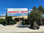 Нескучный сад (Kirova Street No:146), sera ve bahçe ürünleri  Gelencik'ten