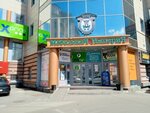 NordIs (Gaydara Street No:55), bilişim firmaları  Arhangelsk'ten