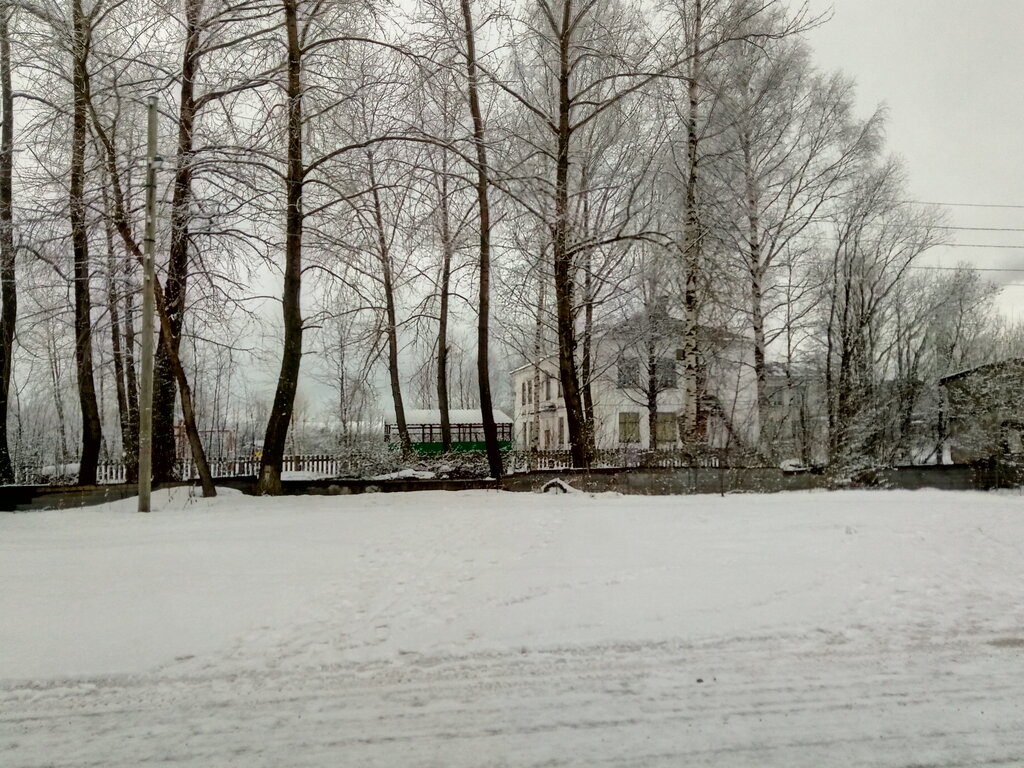 Anaokulları Центр развития ребёнка-детский сад № 12 Теремок, Onega, foto