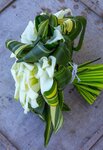 Lella Verde Fiori e Piante (Sicily, Catania, Sant'Agata li Battiati), çiçek teslimatı  Sicilya'dan