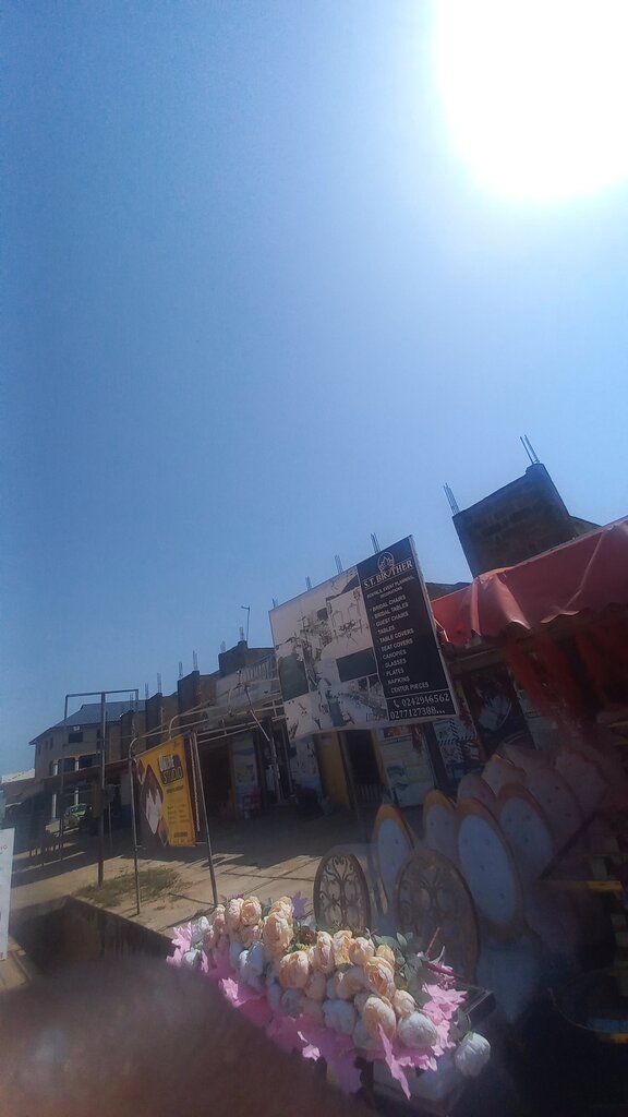 Etkinlik organizasyonu S.T. Brother, Dünya, foto