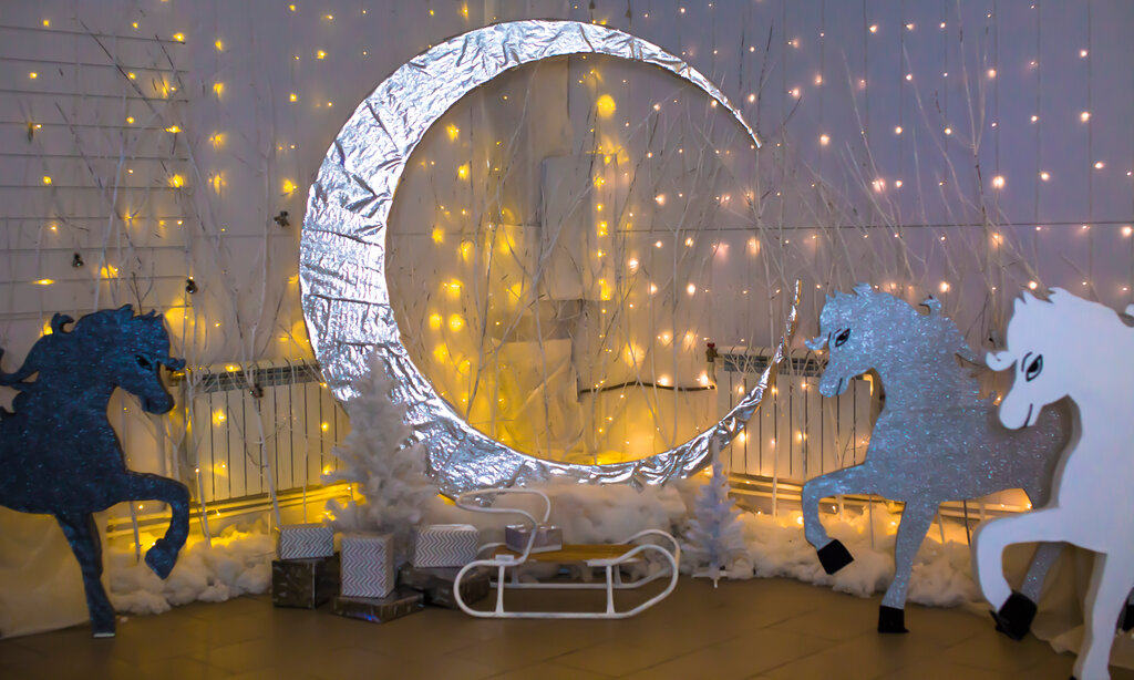 Profesyonel fotoğraf stüdyosu Волшебство, Dmitrov, foto