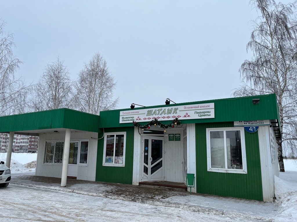 Çiçekçiler Шатлык, Agidel, foto