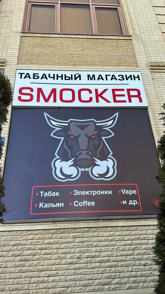 Tütün, sigara mağazaları Smocker, Makhachkala, foto