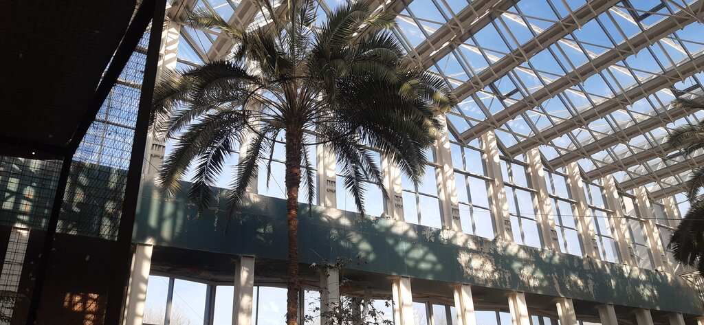 Turistik yerler Электротеатр Модерн с зимним садом, Astrahan, foto