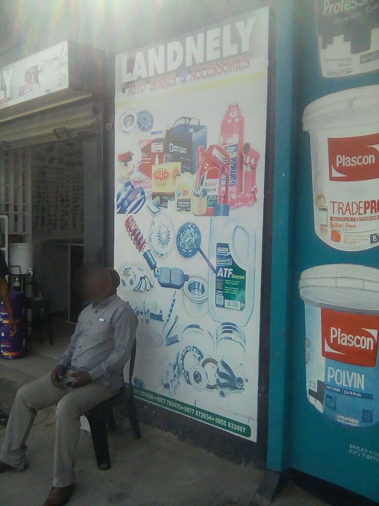 Otomobil servisi Landnely Auto Spares, Lusaka, foto