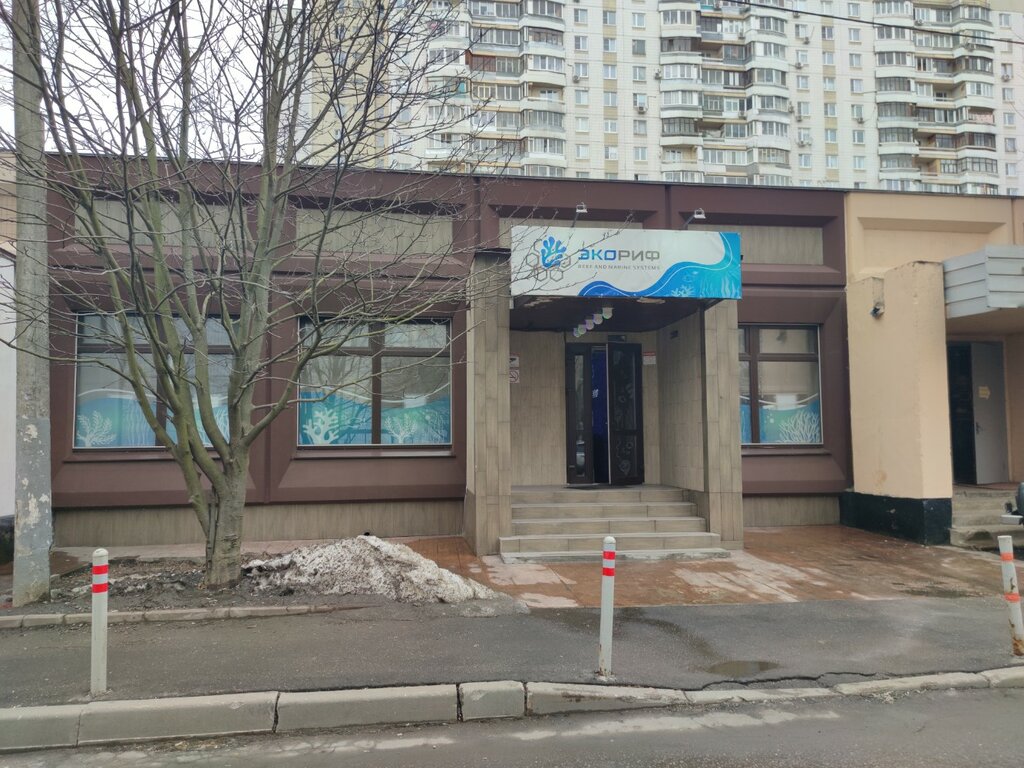 Akvaryumlar Ecoreef, Moskova, foto
