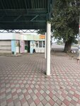 Саженцы (Tsentralna vulytsia No:541, selo Dniprovka), bahçecilik mağazaları  Zaporoje Bölgesi'nden