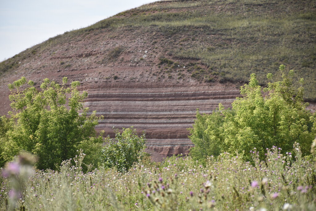 Doğa Николаевские утесы, Orenburgskaya oblastı, foto
