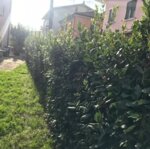 Il Giardino di Antonio (Emilia-Romagna, Ravenna, Via Trentola, 67), bahçe ekipmanları ve teknolojileri  Emilia‑Romagna'dan