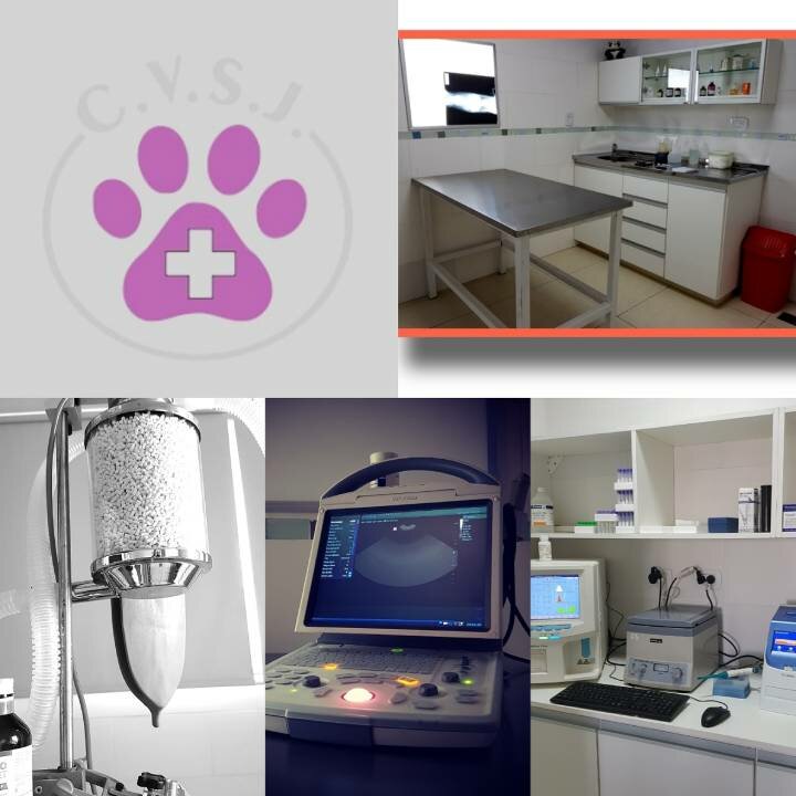 Veteriner klinikleri Clinica Veterinaria San Justo, , foto