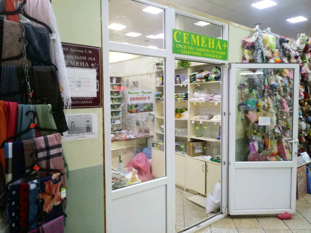 Tohum satan yerler Семена +, Kursk, foto