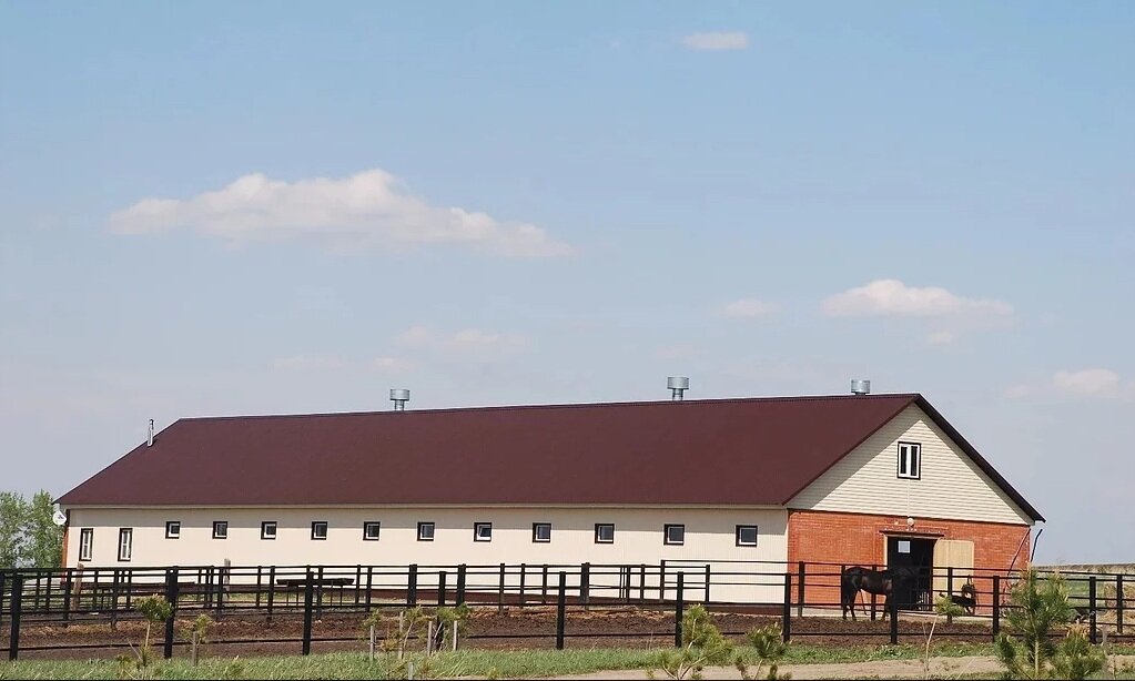 Hayvancılık Агро-Сибирь, ферма, Altayski krayı, foto