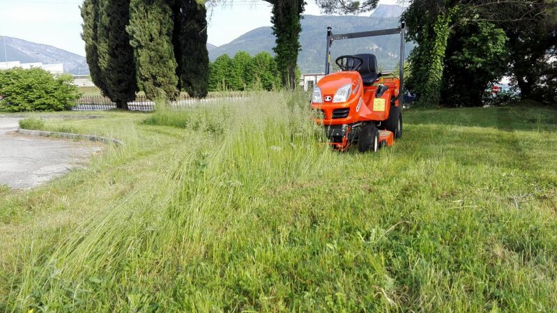 Peyzaj tasarımı I. L. Servizi - Impresa di Pulizie, Friuli‑Venezia Giulia, foto