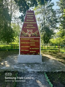 Погибшим в годы Великой Отечественной войны 1941-1945 гг. (Bryansk Region, Gordeyevskiy rayon, Tvorishinskoye selskoye poseleniye, derevnya Chyorny Ruchey), anıt, heykel  Brianskaya oblastından