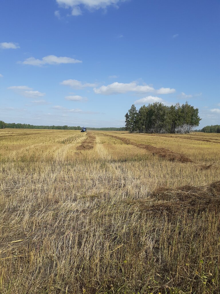 Tarım firmaları Крестьянско-фермерское хозяйство, Novosibirskaya oblastı, foto