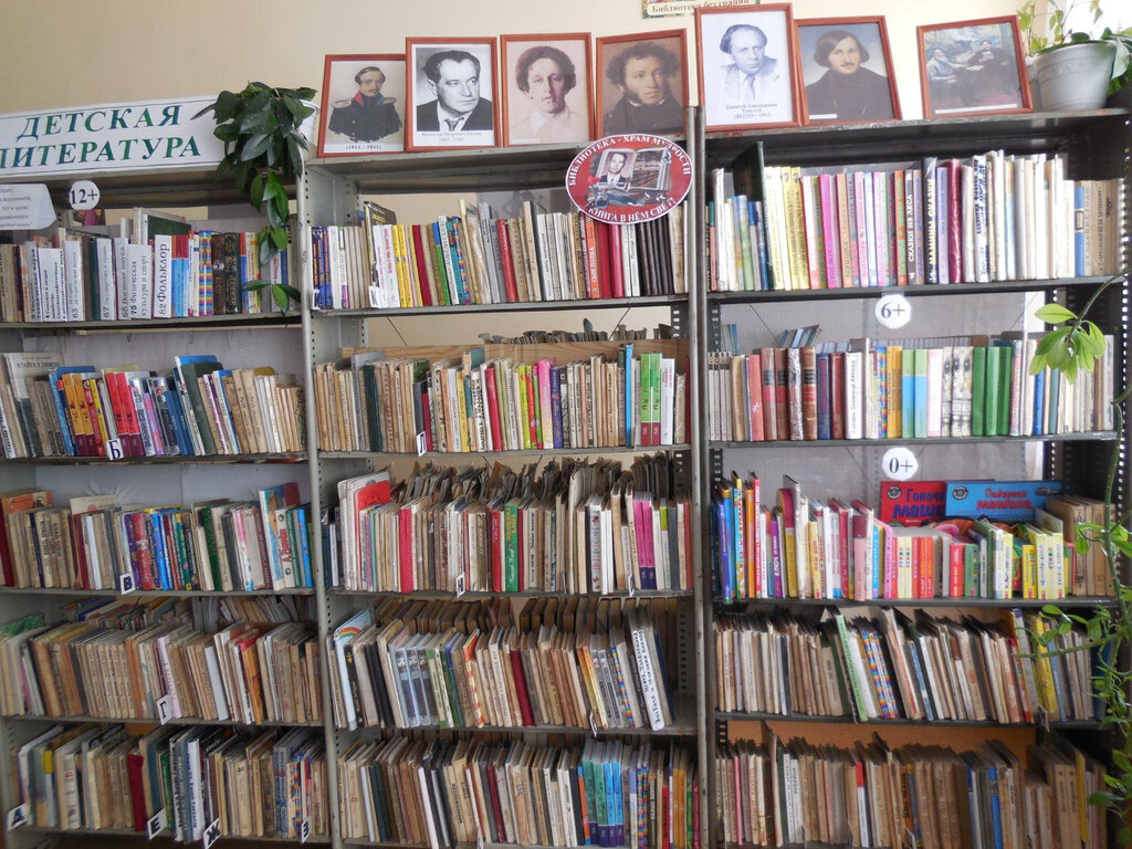 Kütüphaneler Библиотека пос. Чапаевский, Saratovskaya oblastı, foto