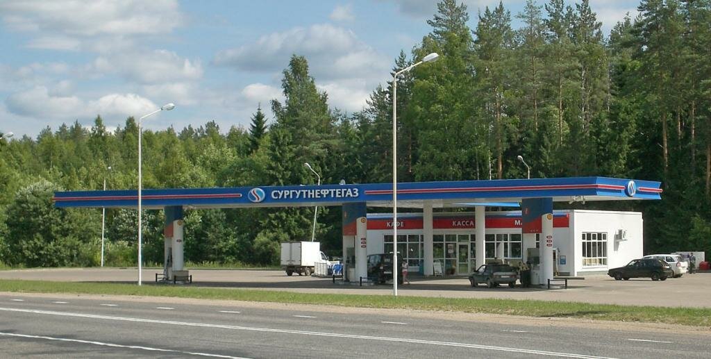 Benzin istasyonu Pskovnefteprodukt, Pskovskaya oblastı, foto