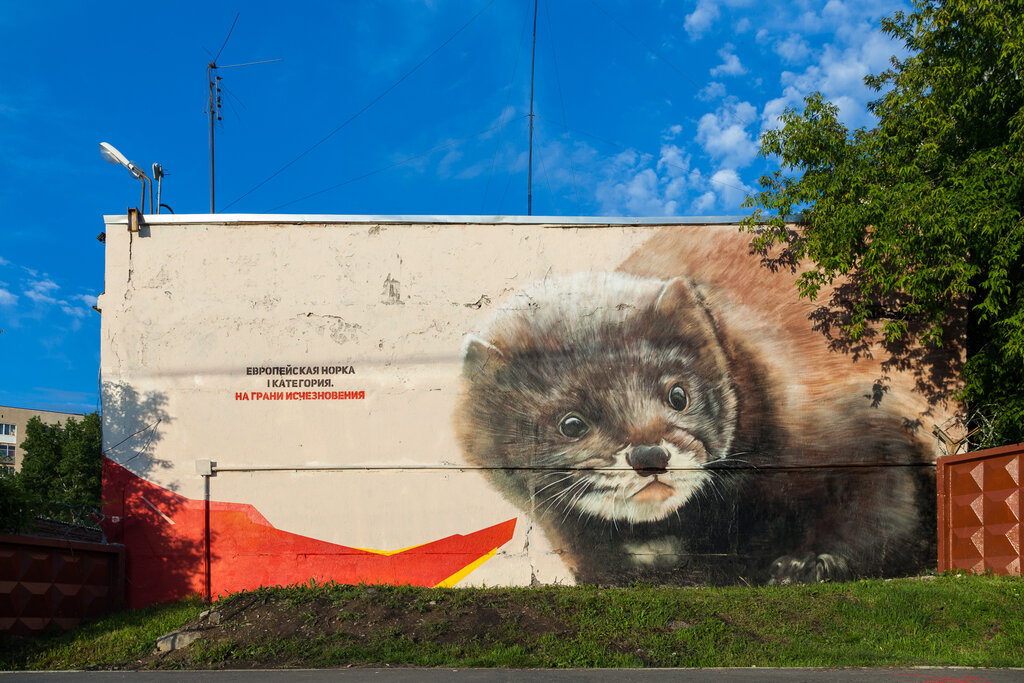 STENOGRAFFIA Европейская норка, Yekaterinburg, foto