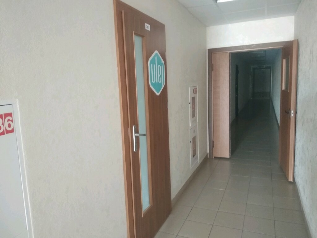 Paylaşımlı ofis Ulej, Minsk, foto