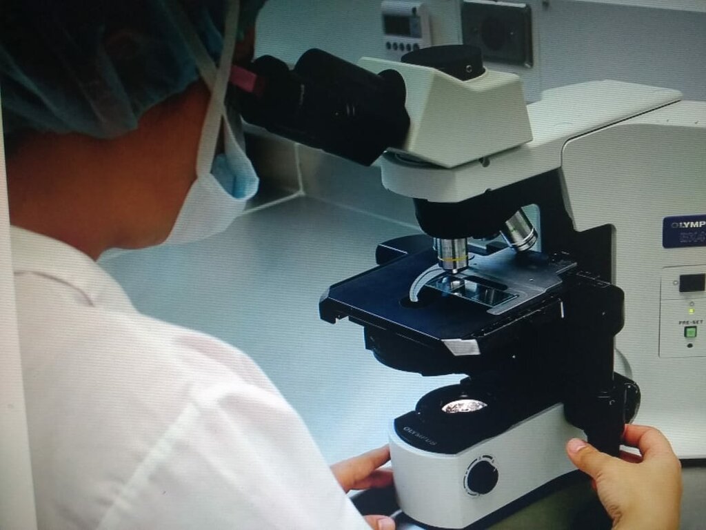 Soruşturma komitesi Laboratorios Asociados, , foto