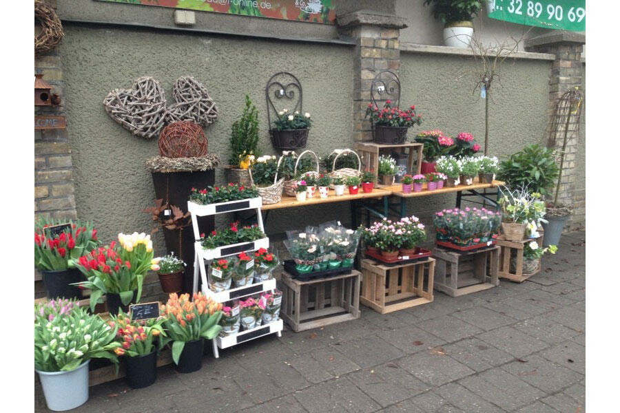 Çiçek teslimatı Blumen am Segensfriedhof, Berlin, foto