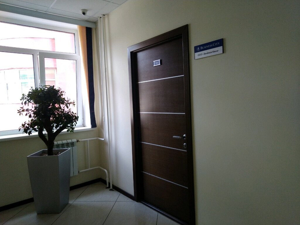 Peyzaj tasarımı Зелёная Миля, Briansk, foto