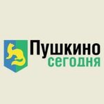 Pushkino Segodnya (Institutskaya ulitsa No:11, mikrorayon Novaya Derevnya), i̇nternet portalları  Puşkino'dan