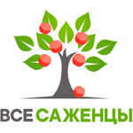 Все саженцы (Moscow Region, Ramenskiy Urban District, derevnya Prudki, Novaya ulitsa), sera ve bahçe ürünleri  Moskova ve Moskovskaya oblastından