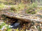 Spring, stream (Penzenskiy Municipal District, Voskresenovskiy selsovet), pınar, çay  Penzenskaya oblastından
