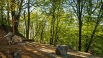 Bestattung Stadtgemeinde Gmünd (Lower Austria, Gmünd, Schremser Straße, 6), cenaze hizmetleri  Aşağı Avusturya'dan