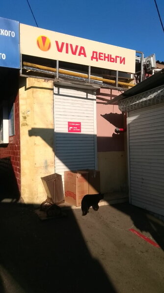 Mikrofinans Viva Dengi, Gelencik, foto