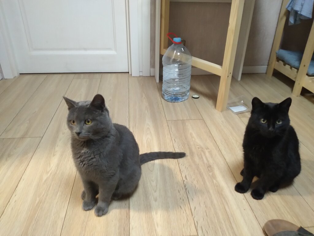 Konuk evi Гостевой дом, Moskova ve Moskovskaya oblastı, foto