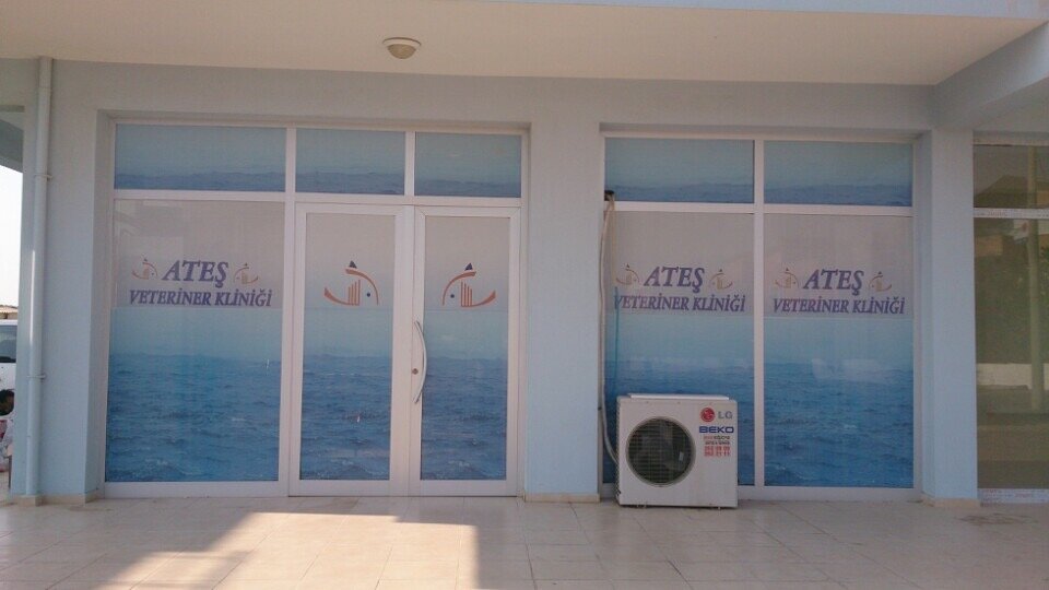 Veteriner klinikleri Kenan Ateş Su Ürünleri ve Veterinerlik Hizmetleri, Urla, foto