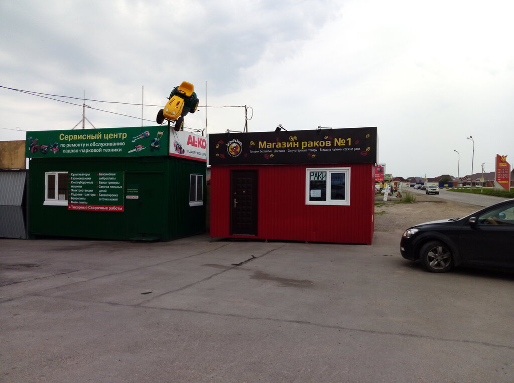 Balık ve deniz ürünleri BeriRaKov, Samarskaya oblastı, foto