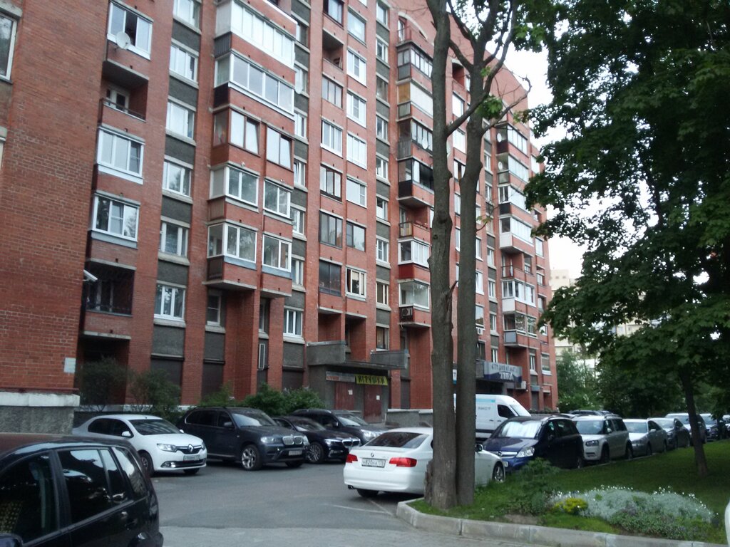 Çocuk oyunları ve oyuncakları Tigro Toys, Saint‑Petersburg, foto