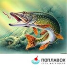 Magazin Poplavok (Брестская улица No:5), balıkçılık ekipman firmaları  Kovel'den
