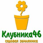 Rassada klubniki V Kurske (1-ya Gutorovskaya ulitsa No:47), sera ve bahçe ürünleri  Kursk'tan