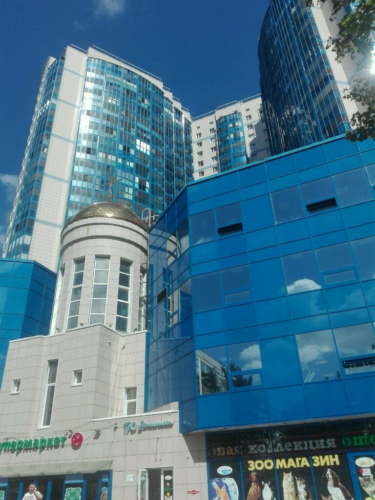 Tavan sistemleri Bely Zamok, Saint‑Petersburg, foto